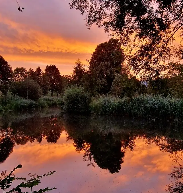 Michael Rockel teilt seine beeindruckende Aufnahme vom Gelände der ...