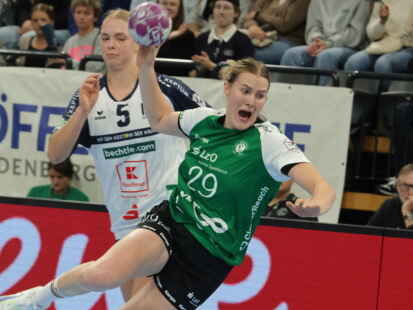 VfL Oldenburg Handball