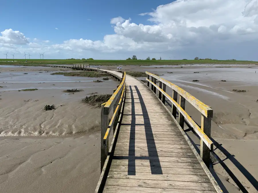 Naturwunder 2024: Langwarder Groden in Butjadingen liegt bei Abstimmung ...