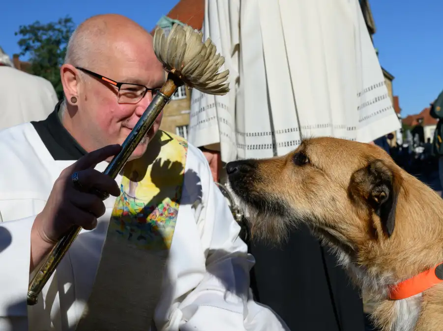 Segen für Haustiere: 50 Hunde vor Dom in Osnabrück gesegnet