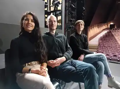 Landesbühne Niedersachsen-Nord präsentiert ‘Bühnenbeschimpfung ...