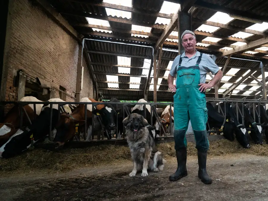 Landwirt aus Schortens: Ein Tag mit Jörg Even – Zwischen Kühen ...