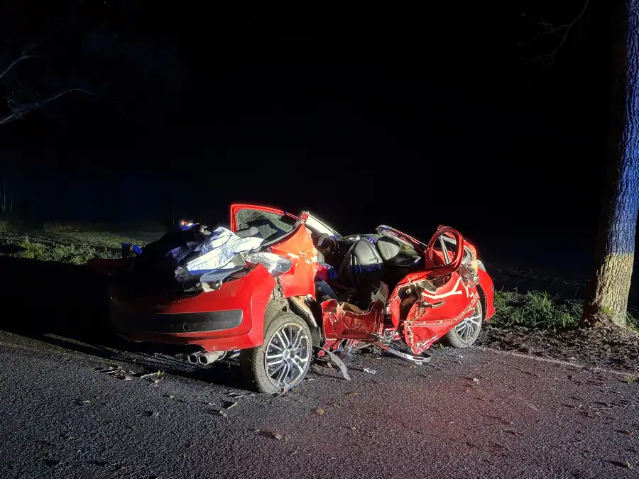 Westerloy: 17-Jähriger nach Unfall gestorben – Auto mit Baum kollidiert