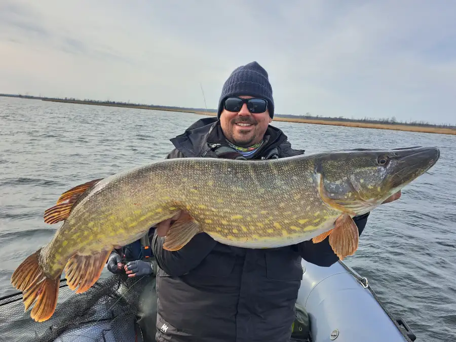 Fischereiprofessor Robert Arlinghaus aus Lohne erhält den mit 40.000 ...
