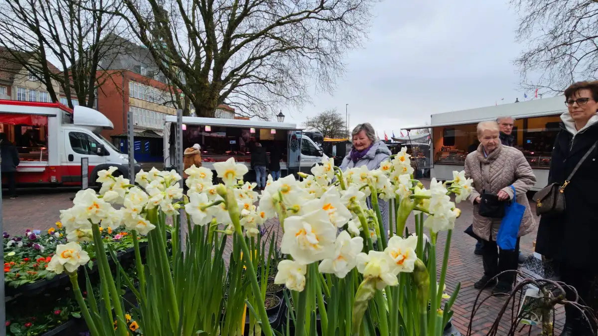 Wochenmarkt in Emden: Neues Domizil im Stadtgarten wegen Sanierungsarbeiten