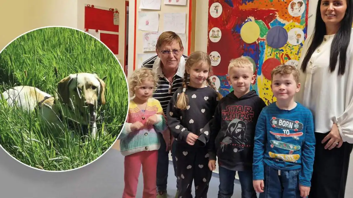 Kita in Wüsting: Labrador Pablo bringt als Begleithund frischen Wind in ...