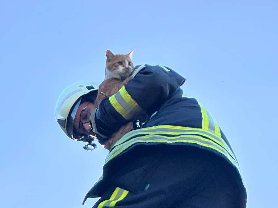 Feuerwehr Schierbrok-Schönemoor: Katzenrettung auf einem Wohnhaus