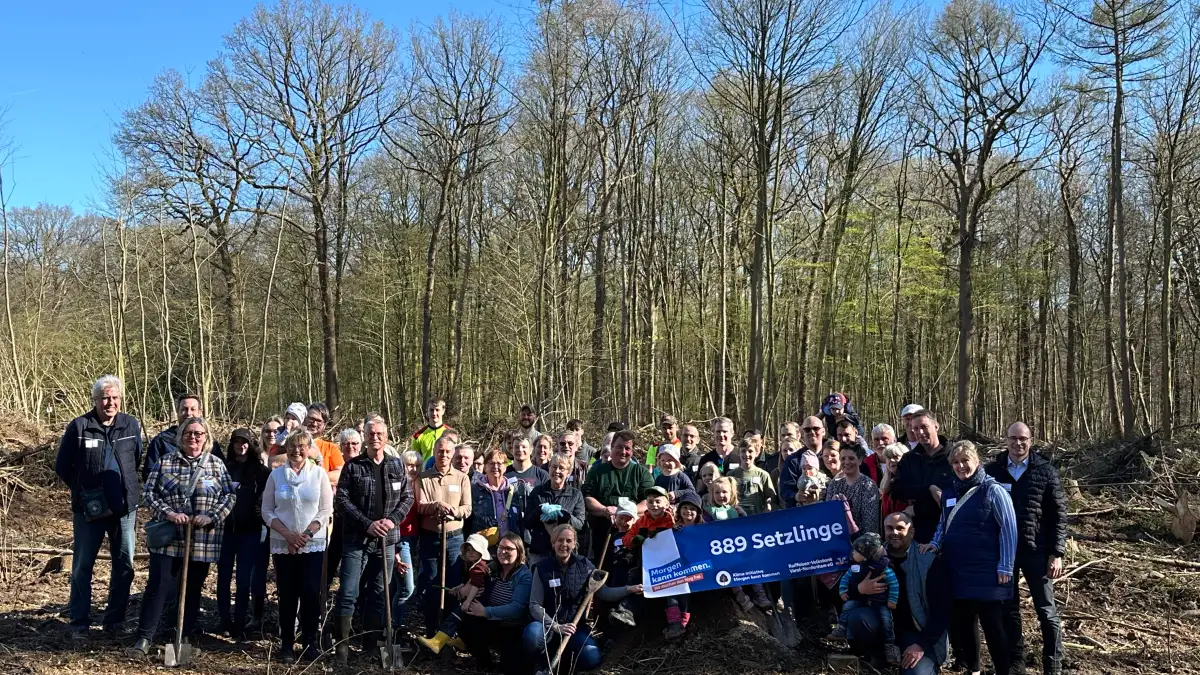Klima-Initiative in Varel: Raiffeisen Volksbank pflanzt 889 Eichen im Vareler Wald