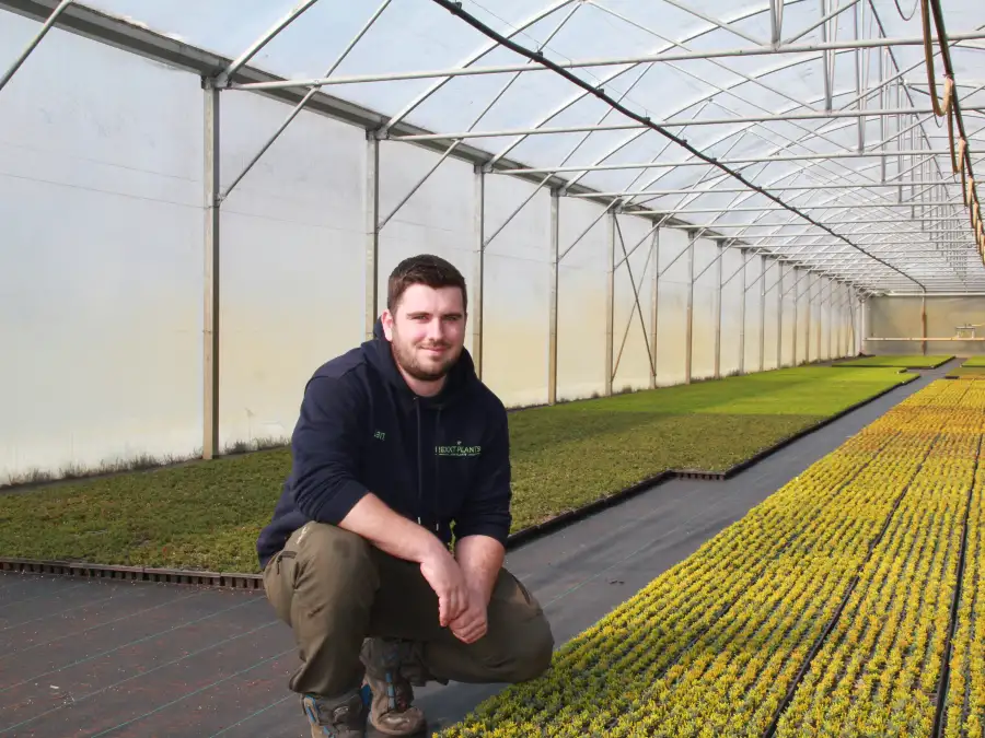 Gartenbaubetrieb in Tange: Jan de Vries setzt auf modernste Technik in der Heideproduktion im ...