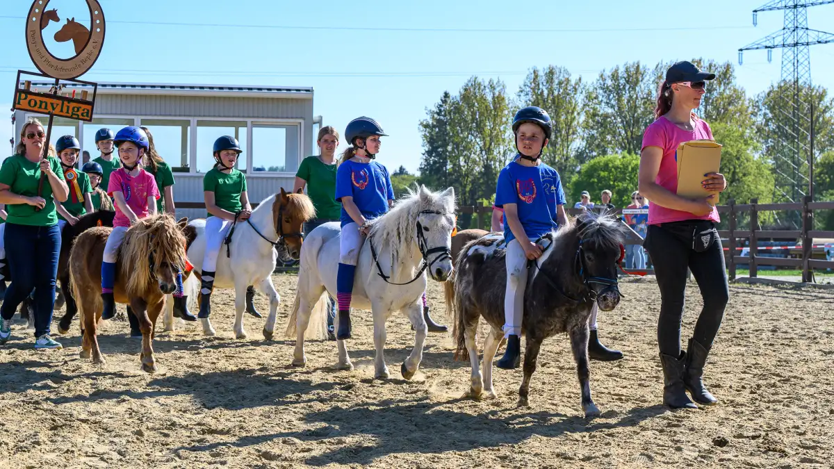 Ponyspiele in Westerstede: Bezirksfinale begeistert Reitfans im Ammerland
