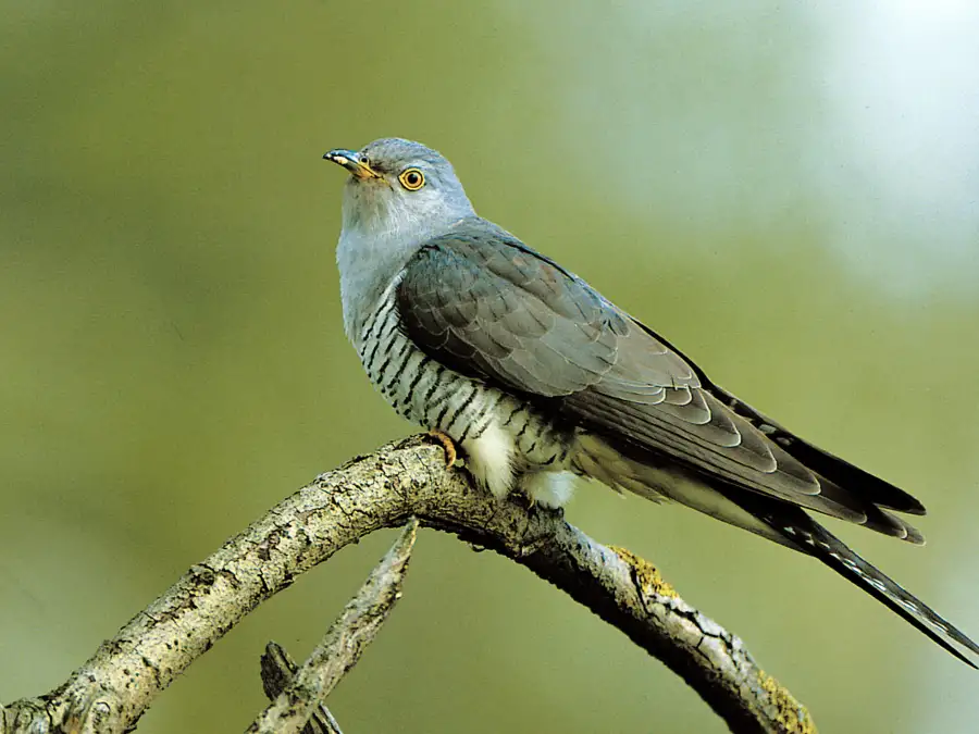 Plattdeutsche Kolumne: Up’n Punkt brocht mit Marieta Ahlers aus Nordenham