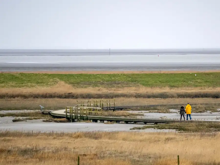 Connie perignon leaked videos i've used agency several