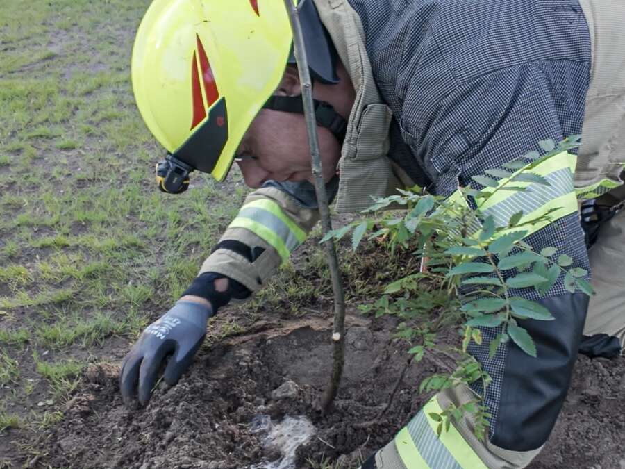 Feuerwehr in Jever: Kreative Baumpflanz-Challenge schwappt durch das ...