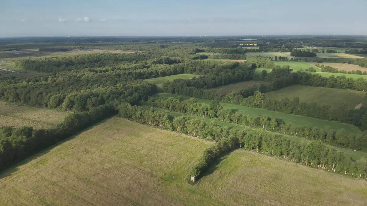 Windpark in Grönheim geplant: Anwohner kritisieren Pläne – das sagt der ...