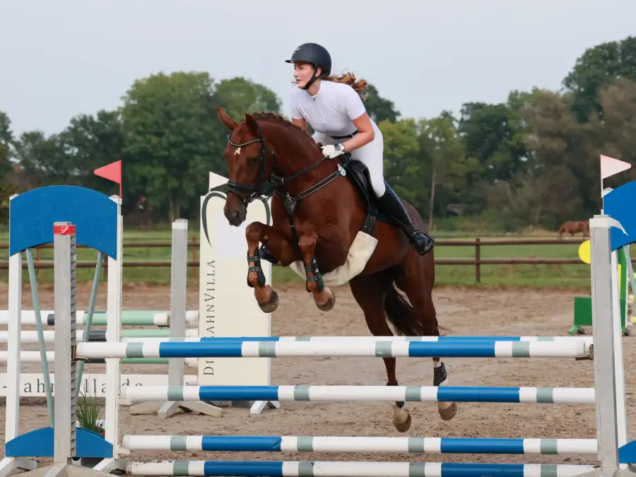 Pferdesport in Friesland: Großes Dressur- und Springturnier beim RuF Hooksiel