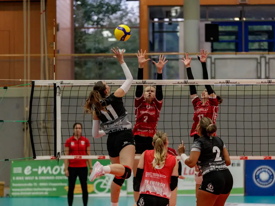 Zweitliga-Volleyball: TV Cloppenburg unterliegt Hildesheim trotz ...