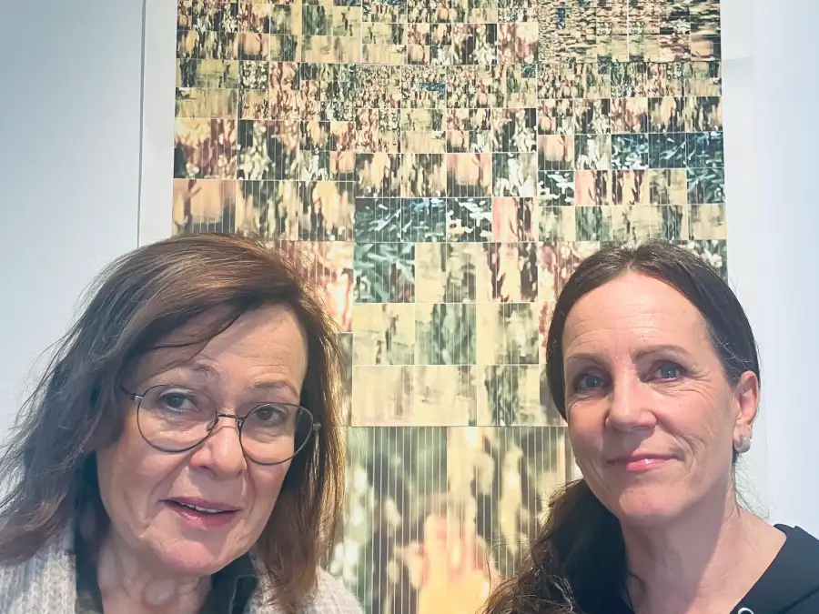 Oldenburger Galerie Upstairs Artspace zeigt Werke von Dagmar Böhringer