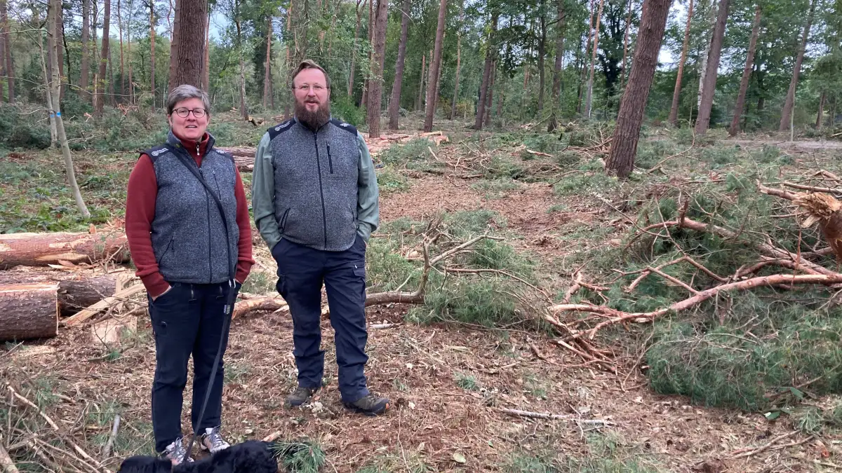 Lesermeinung im Ammerland: Zweifel am Waldumbau im Mansholter Holz mit ...