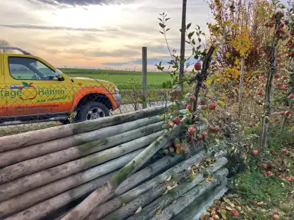 Plantage im Kreis Hildesheim: Obstbauer muss 22.000 Bäume roden, weil ...