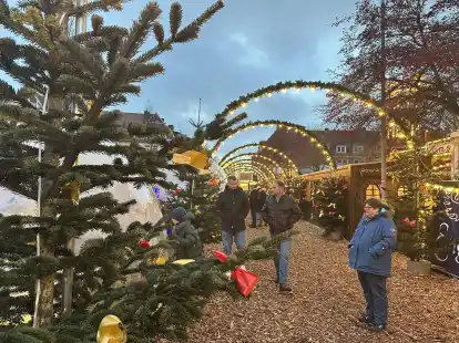 Weihnachtsmarkt in Emden: Engelkemarkt am Ratsdelft mit neuen ...