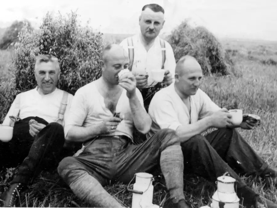 Emder erzählen: Nachrichten aus der alten Heimat – Zeitungsberichte für ...