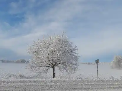Winter in Friesland: Leser senden schöne Schneebilder aus der Region