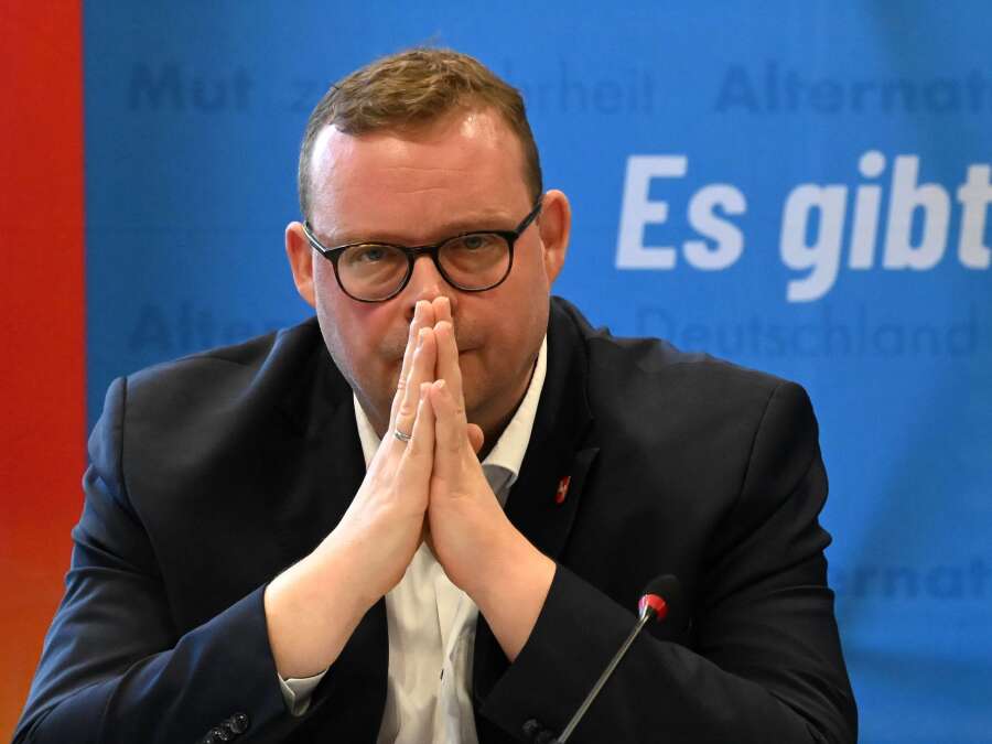 AfD Niedersachsen: Brandbriefe von Anja Arndt erschüttern Partei um ...