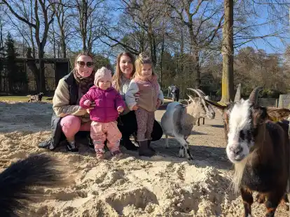 Tierpark Ostrittrum: Wild- und Freizeitpark startet in Jubiläumssaison ...
