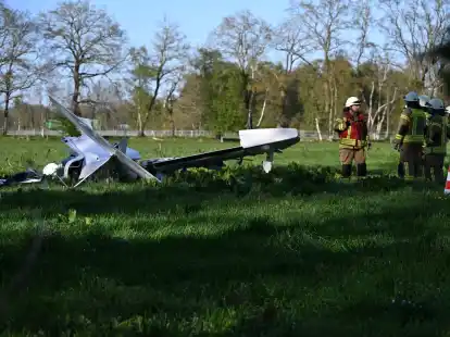 Absturz von Kleinflugzeug in Hatten: Pilot kommt ums Leben