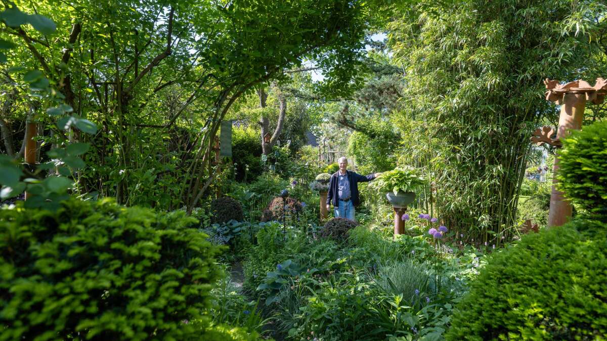 Kleine Gartenparadiese geöffnet: In Oldenburg blühen die Paradiese zu ...