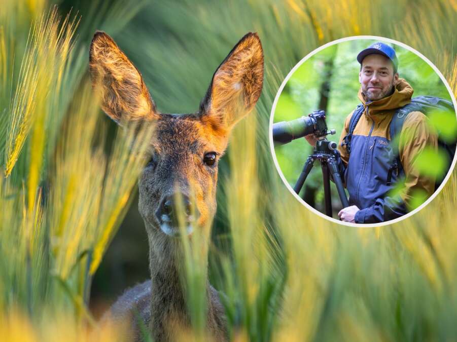Ammerländer Eike Christian Wolff gewinnt Preis für Landschaftsfoto als ...
