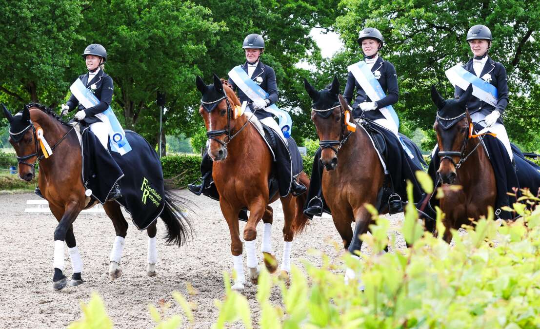 Reiten in Friesland: Beim Turnier des RV Bockhorn werden Kreismeister ...